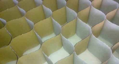 Papernets: New packaging solution to save apples from damage - The News ...