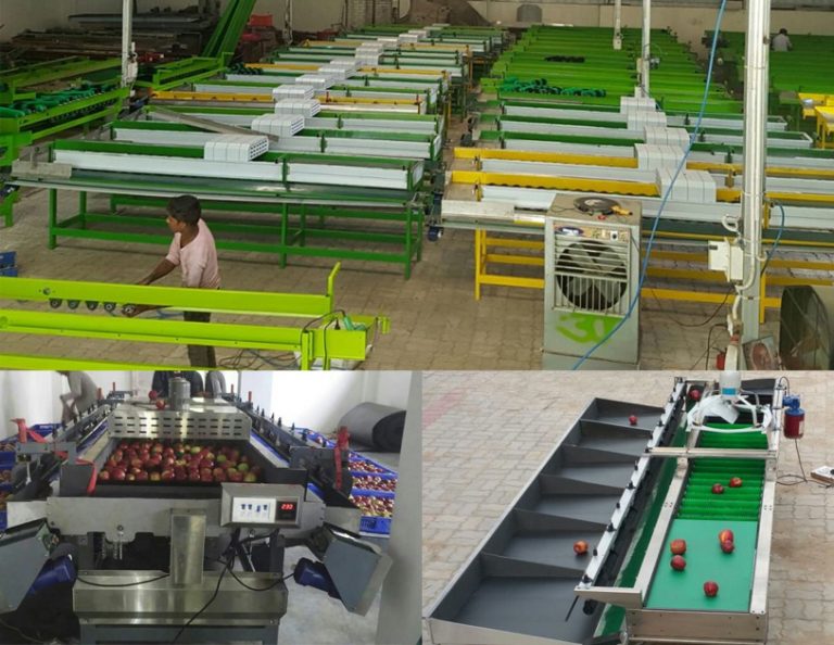 Vishvkarma Machine Tools’ Apple Grading Machine – usage, functioning ...