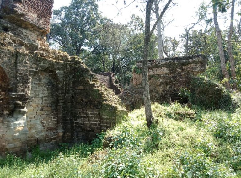 Sujanpur Tira: Glory of Katoch dynasty in ruins now - The News Himachal