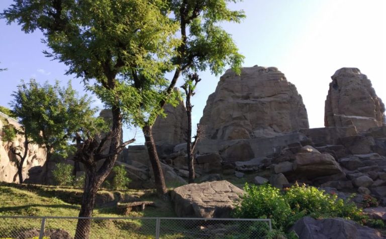 Masrur Rock-Cut Temples - The News Himachal