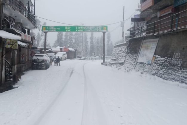 What Is The Best Time To Experience Snowfall In Narkanda? - The News ...