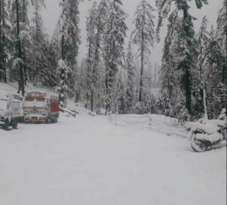 What Is The Best Time To Experience Snowfall In Narkanda? - The News ...