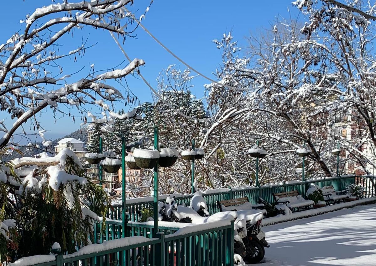 In-Pictures: Snowfall in Shimla