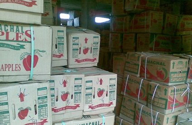 From Telescopic to Universal: Himachal Pradesh Embraces Standardized ...